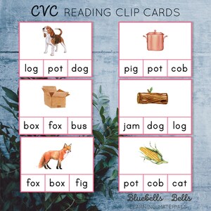 Montessori Printable Reading Clip Cards. Pink Series CVC Word Reading ...