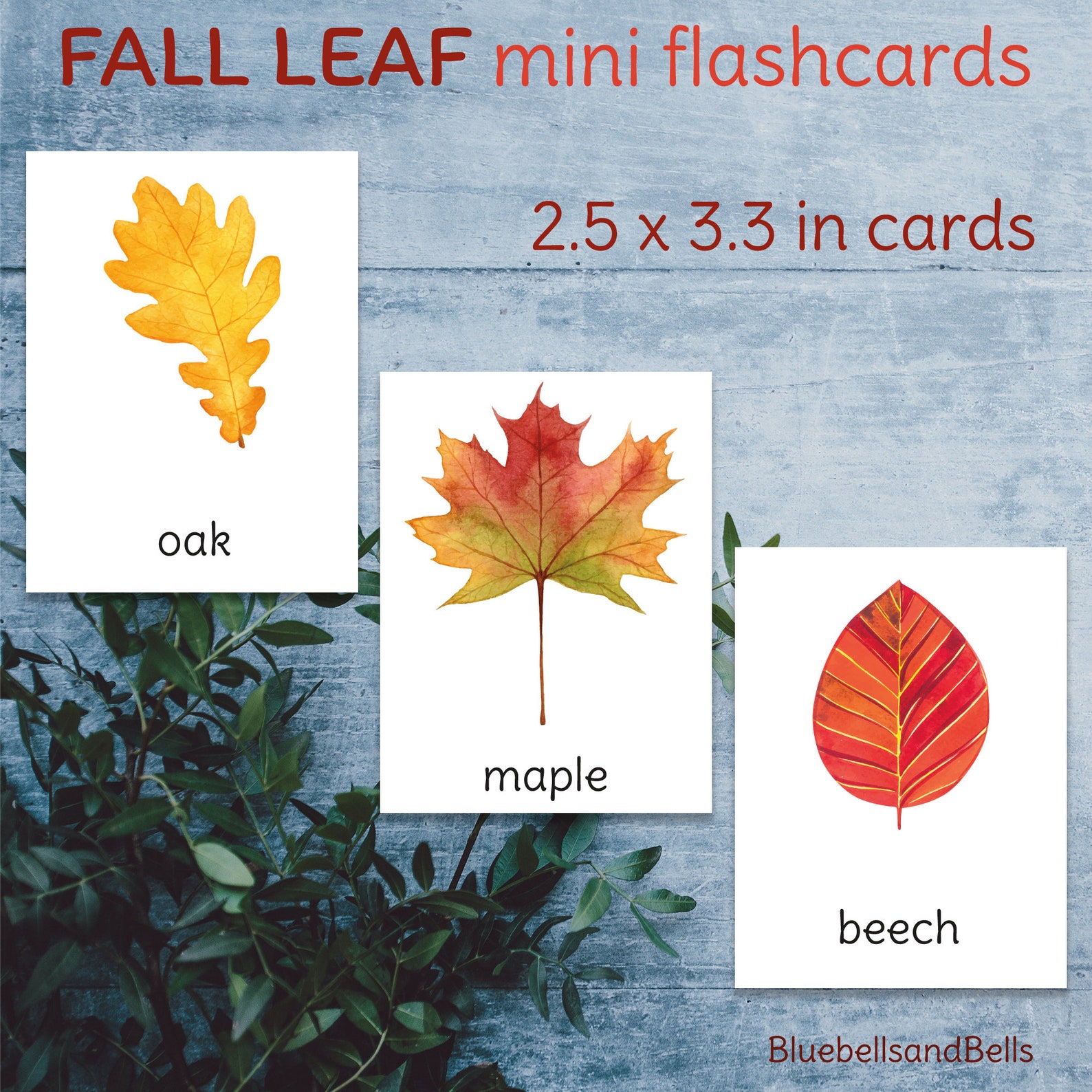 Autumn Leaf Identification Mini Flashcards. Watercolor Fall | Etsy