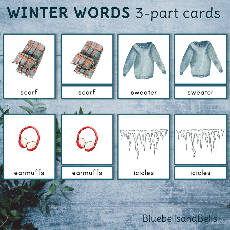 Winter Montessori Printable Vocabulary 3 Part Cards. Preschool - Etsy