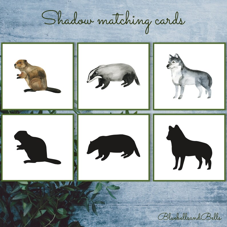 Woodland Animal Montessori Printable Shadow Matching Cards. | Etsy