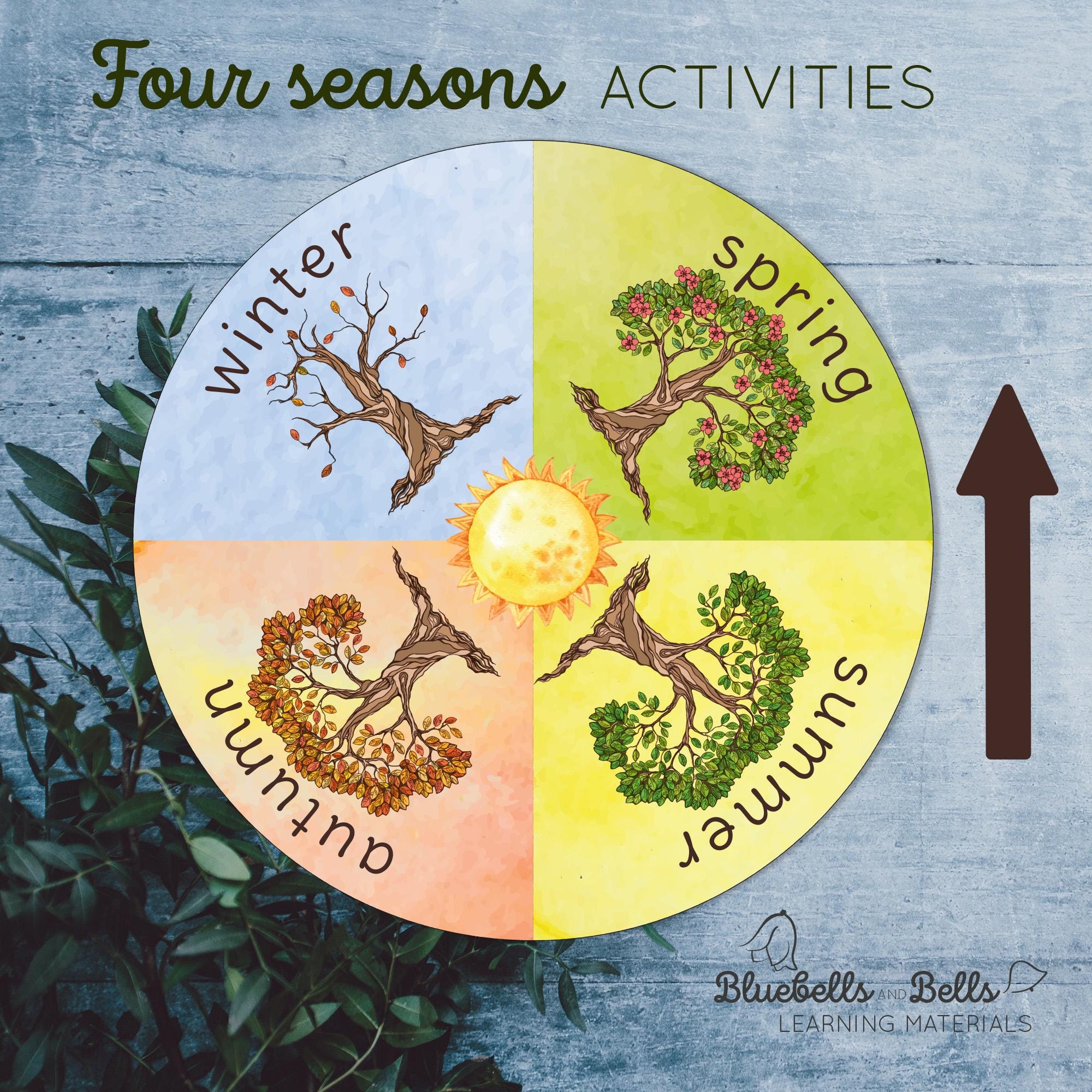 Four Seasons Wheel, Sorting Activity, Cards and Poster. - Etsy