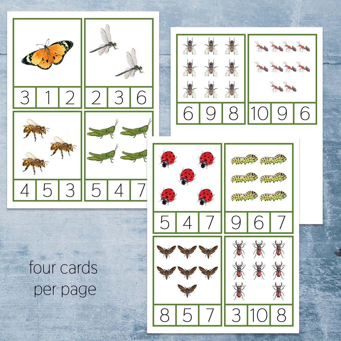 Insect Count and Clip Cards 1-10. Montessori Summer Math - Etsy