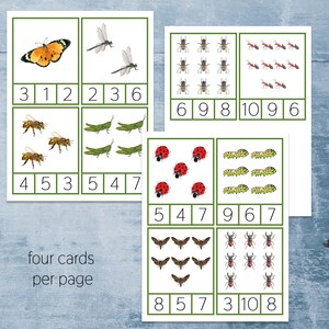 Insect Count and Clip Cards 1-10. Montessori Summer Math Printable ...