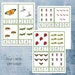 Insect Count and Clip Cards 1-10. Montessori Summer Math - Etsy