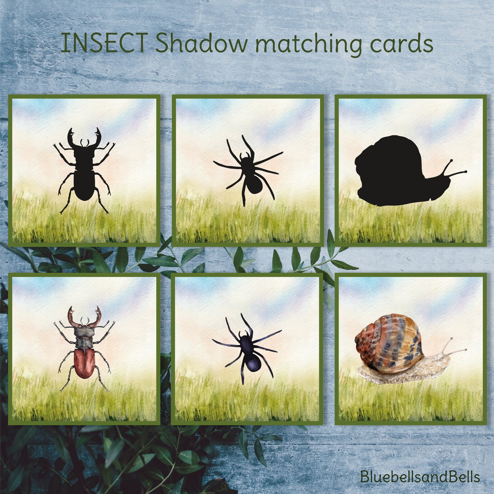 Insect Shadow Matching Cards. Montessori Pre-reading Printable | Etsy