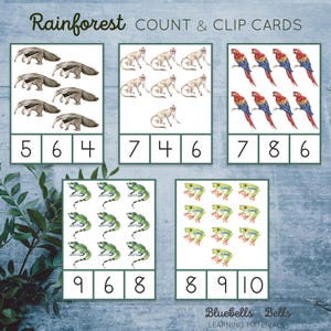 Rainforest Animals Count and Clip Cards 1-10. Preschool Math Printable ...