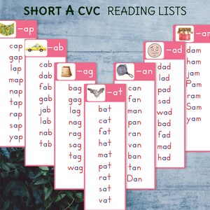 CVC Word Families Reading Lists. Montessori Pink Series Printable. - Etsy