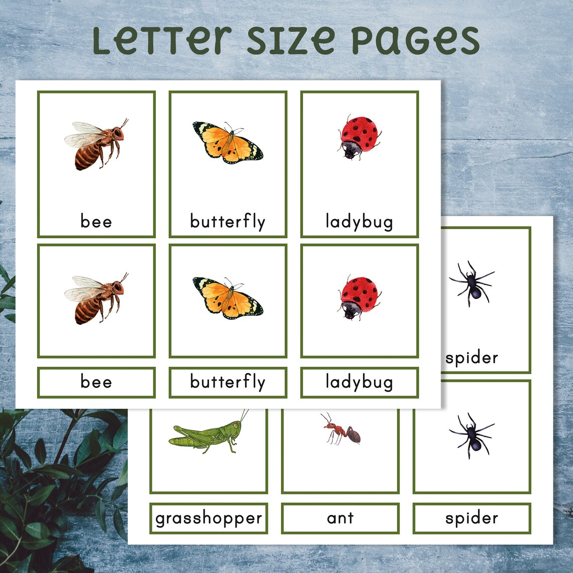 Insect Montessori Printable 3-part Cards. Preschool and | Etsy