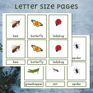 Insect Montessori Printable 3-part Cards. Preschool and Kindergarten ...