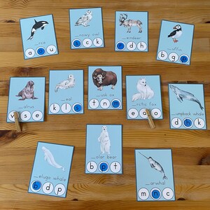 Arctic Animals Preschool Printable Beginning Sound Clip Cards. - Etsy