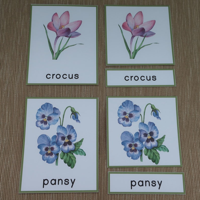 Montessori Spring Flowers 3 Part Cards. Flower Identification Cards for ...