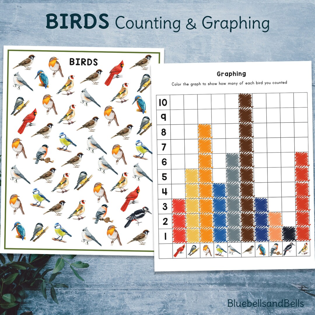 Birds Preschool Graphing. Spring Montessori Math Printable for ...