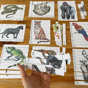 Rainforest Animals Puzzle Number Sequence 1-10. Preschool Math ...
