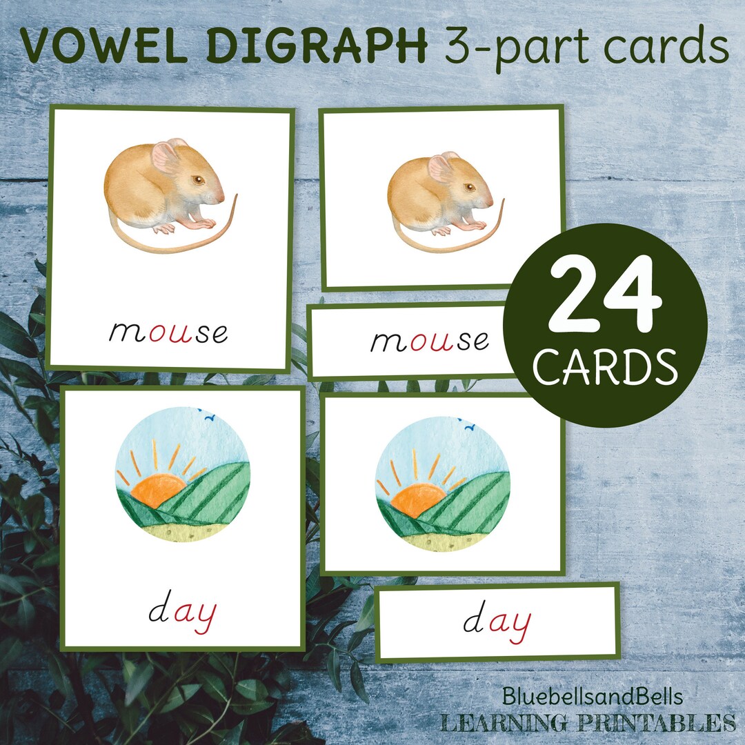 Montessori Printable Digraph 3-part Cards. Green Series Activity. - Etsy
