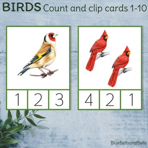 Birds Count and Clip Cards 1-10. Spring Montessori Printable. Preschool ...