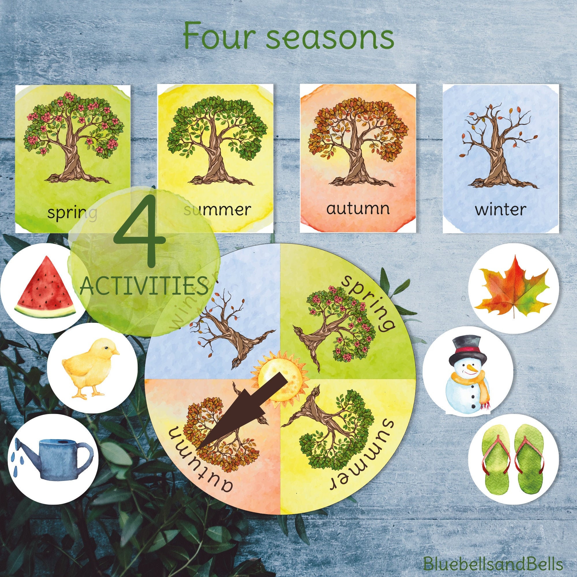 Seasons Flashcards