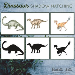 Montessori Printable Dinosaur Shadow Matching Cards. Toddler Matching ...