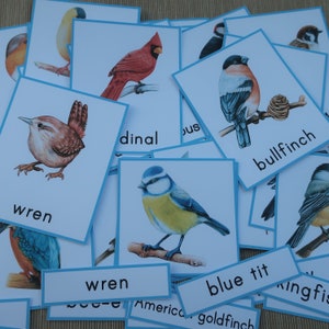 Birds Montessori Printable 3-part Cards. Spring Vocabulary Activity for ...