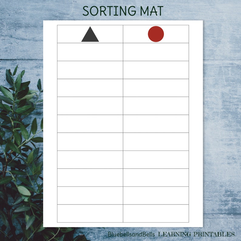 Montessori Parts of Speech Noun and Verb Sorting Activity. - Etsy Canada