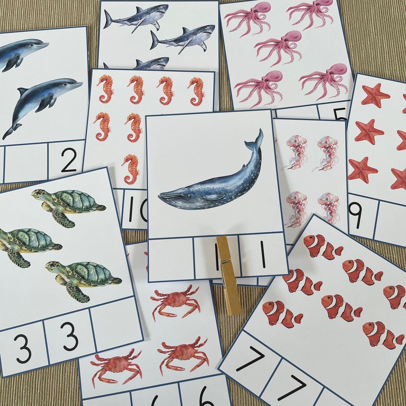 Special Education Errorless Count and Clip Cards 1-10 Ocean. - Etsy