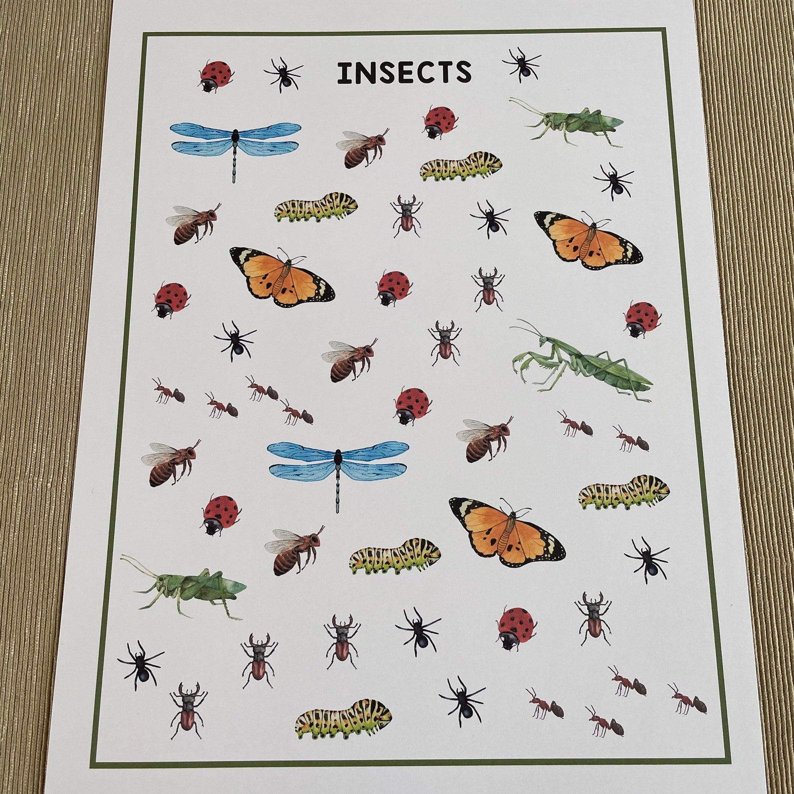 Insects Preschool Printable Graphing. Kindergarten Math Activity. - Etsy