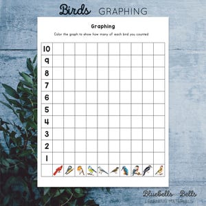 Birds Preschool Graphing. Spring Montessori Math Printable for ...