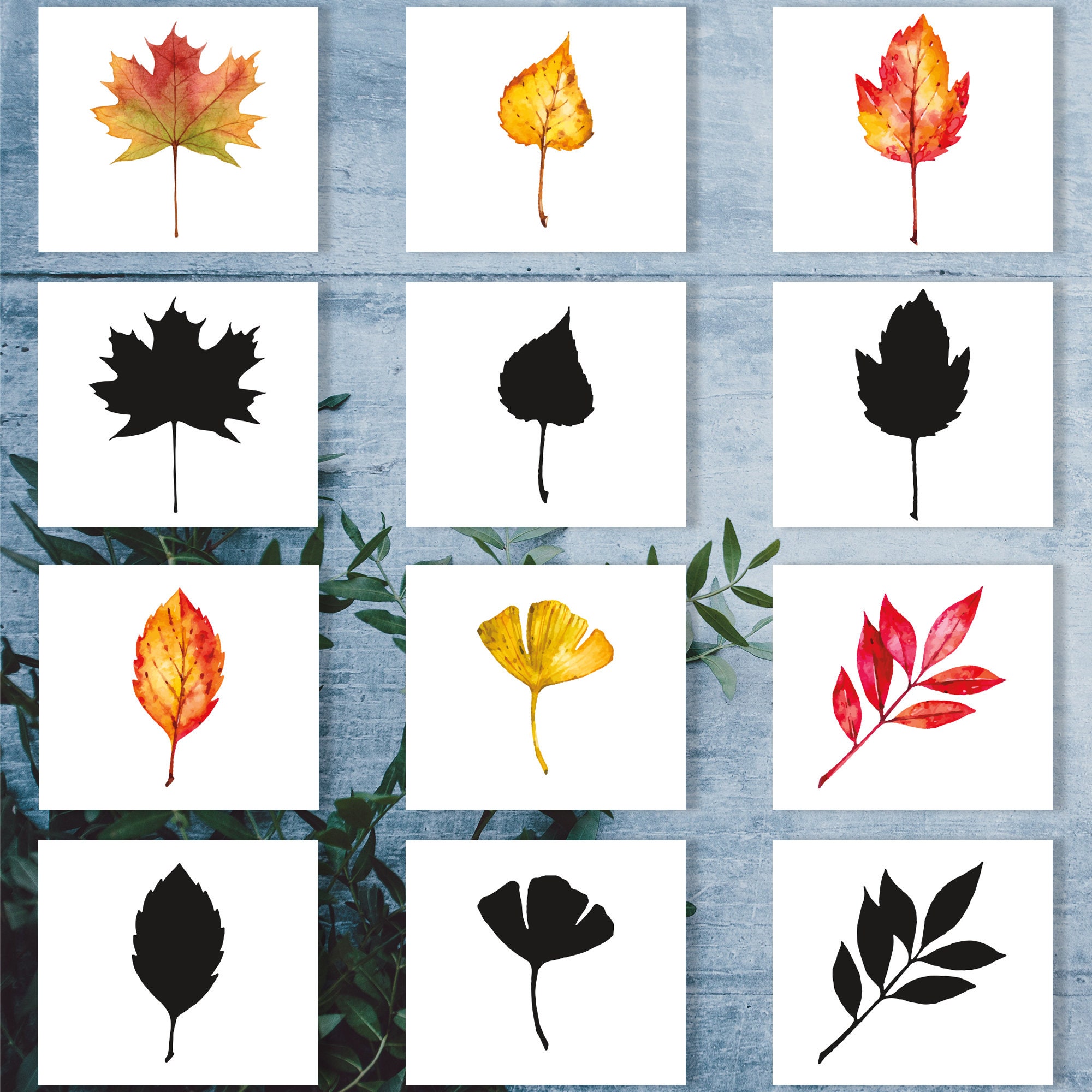Autumn Shadow Matching Montessori Printable. Fall Nature - Etsy