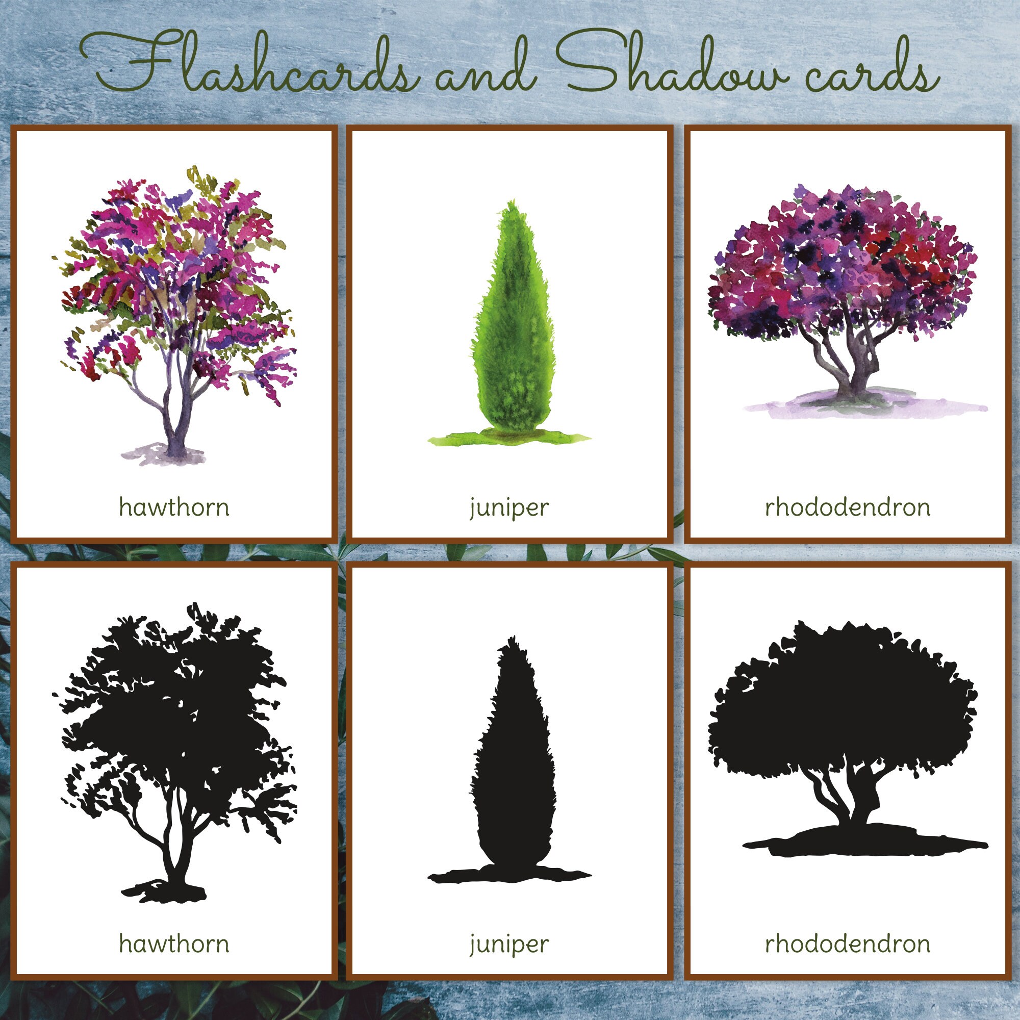 Trees Flash Cards and Shadow Matching Cards. Watercolor - Etsy UK