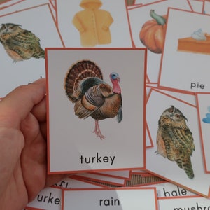 Fall Montessori Printable 3 Part Cards. Autumn Vocabulary for Preschool ...