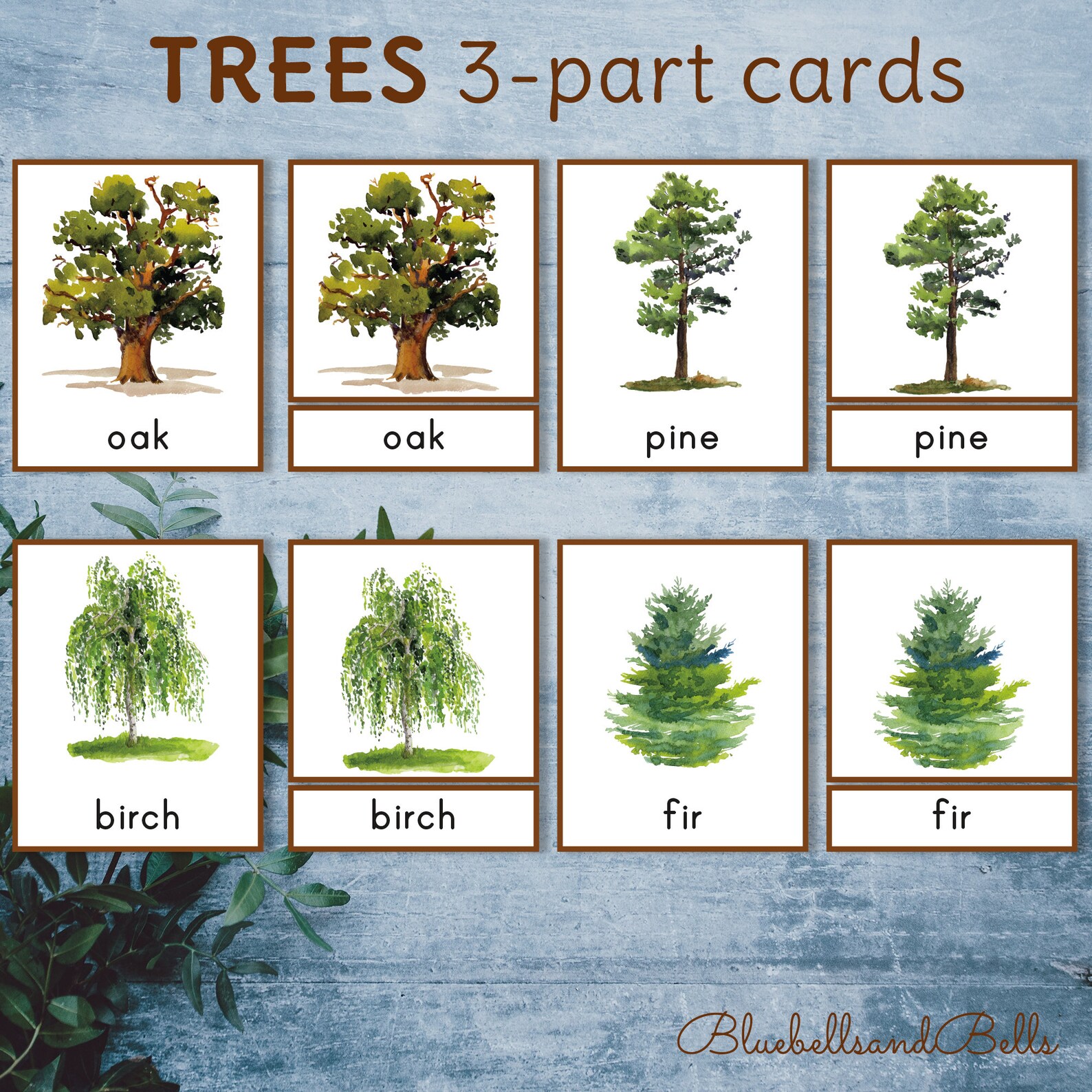 Trees Montessori 3 Part Cards. Tree Identification Cards. - Etsy