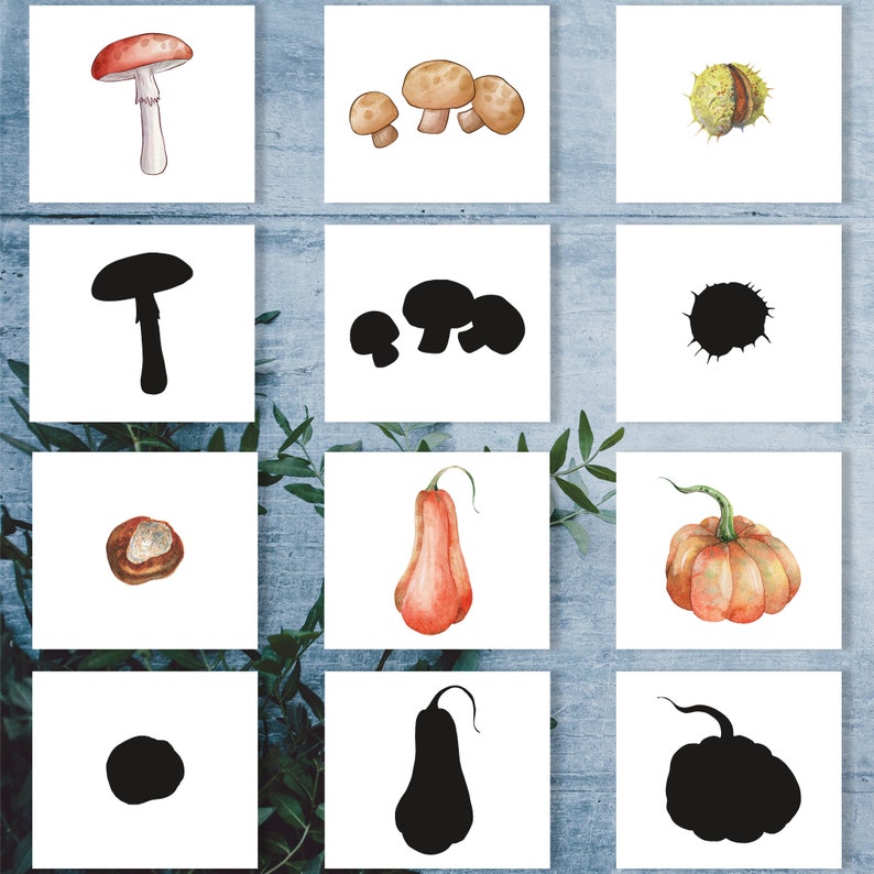 Autumn Shadow Matching Montessori Printable. Fall Nature - Etsy