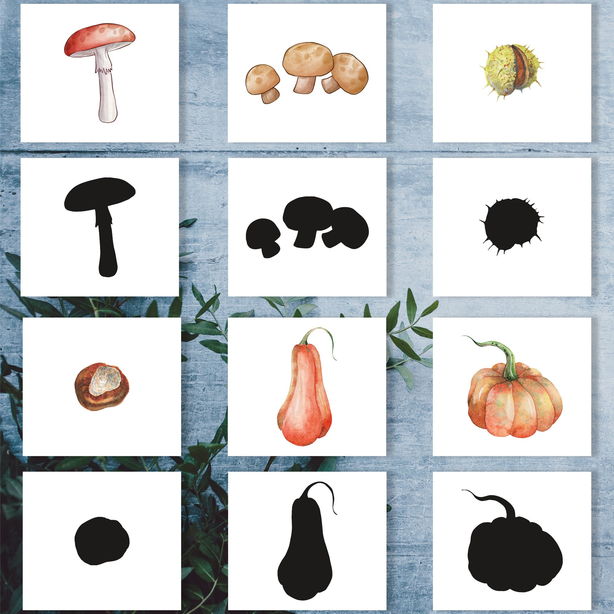 Autumn Shadow Matching Montessori Printable. Fall Nature - Etsy