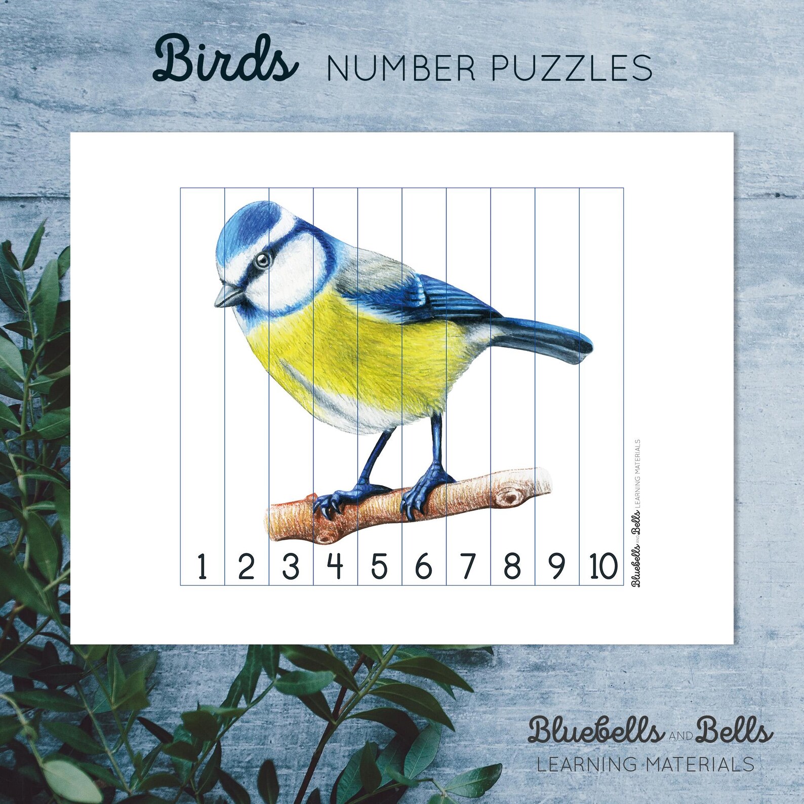 Bird Preschool Printable Number Sequence Puzzles 1-10. Montessori ...