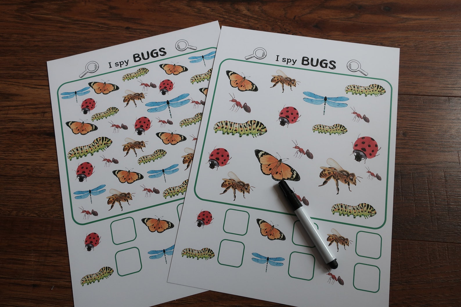 Printable I Spy Bugs. Insect Activity Preschool. Kindergarten - Etsy
