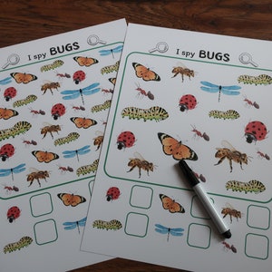 Printable I Spy Bugs. Insect Activity Preschool. Kindergarten Counting ...