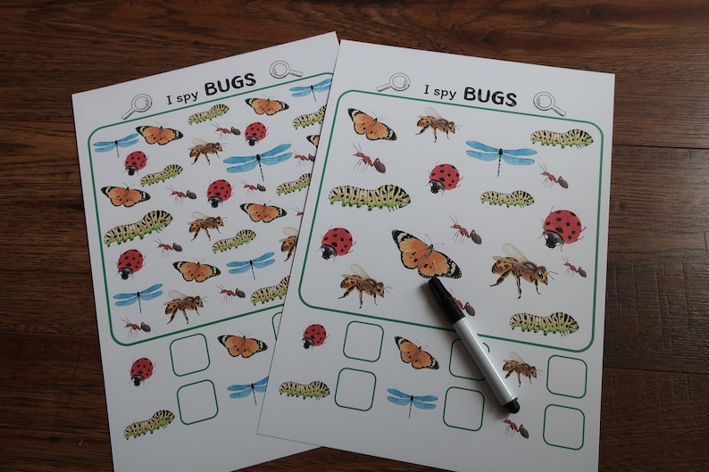 Printable I Spy Bugs. Insect activity preschool. Kindergarten | Etsy