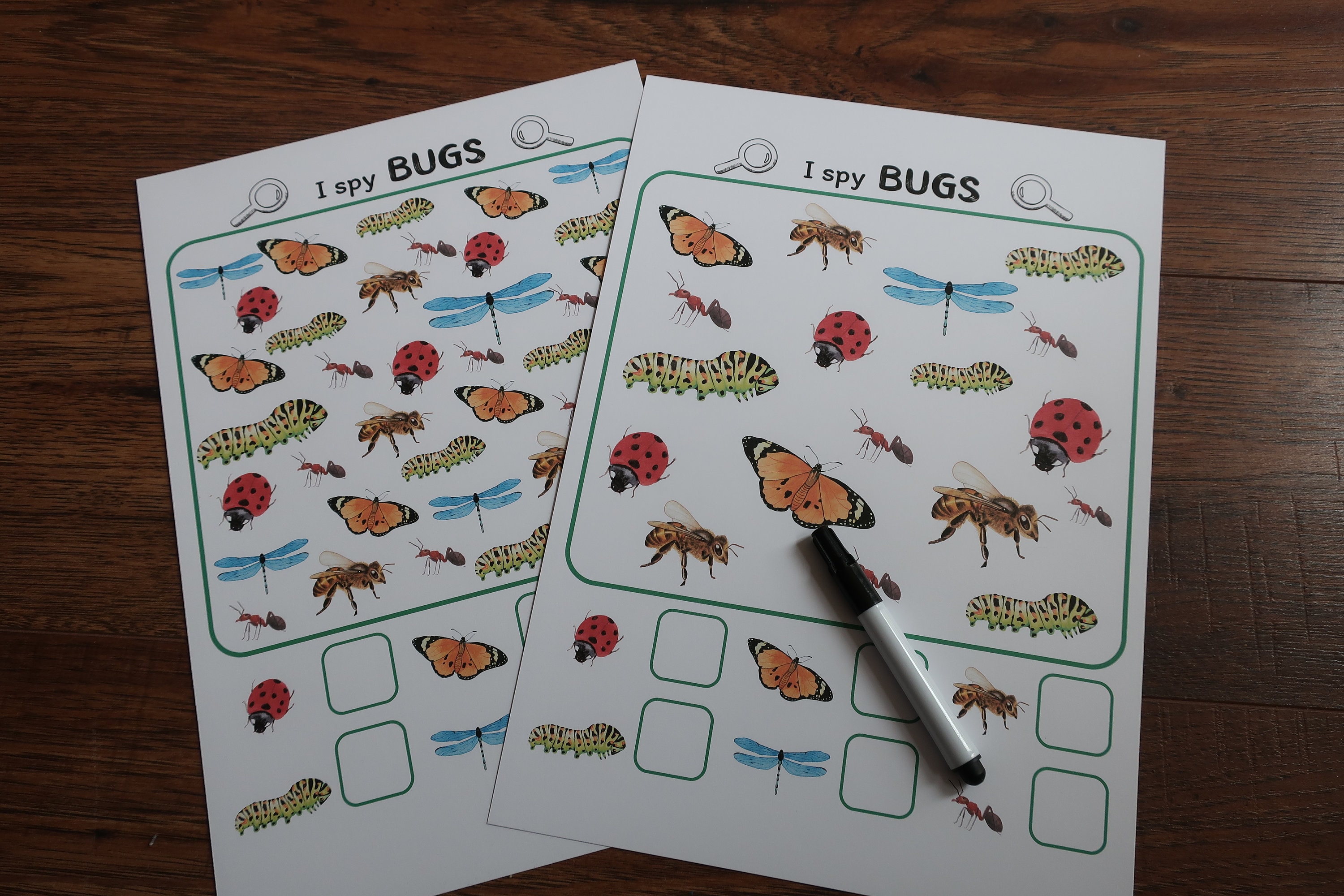 Printable I Spy Bugs. Insect Activity Preschool. Kindergarten - Etsy ...