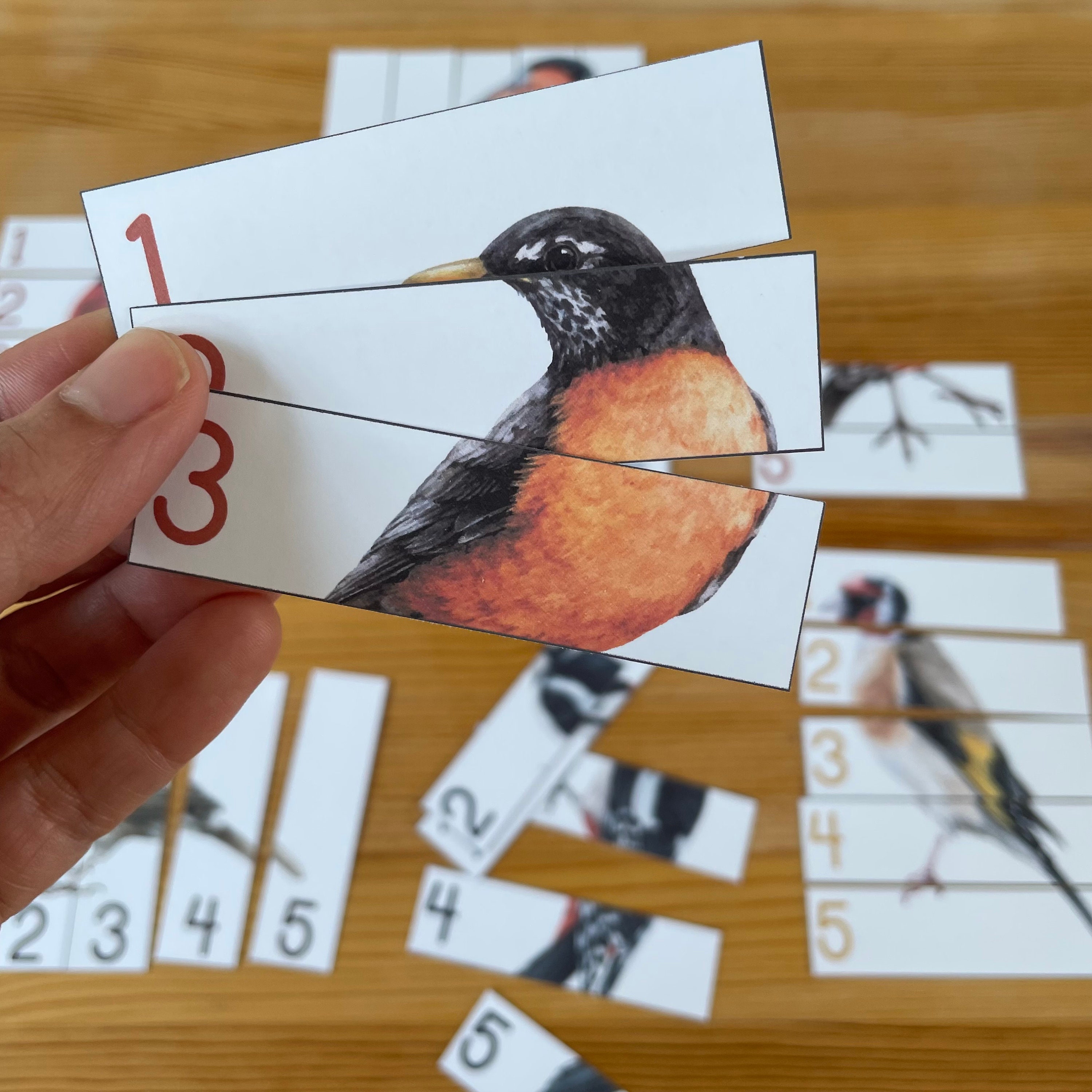 Toddler Puzzle Birds Number Sequence 1-5. Montessori Printable Matching ...