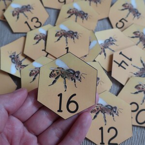 Number Matching 1-20 Printable. Number Recognition Activity. Bee ...