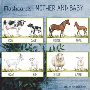 Mother and Baby Farm Animal Matching Cards and Flash Cards. Montessori ...