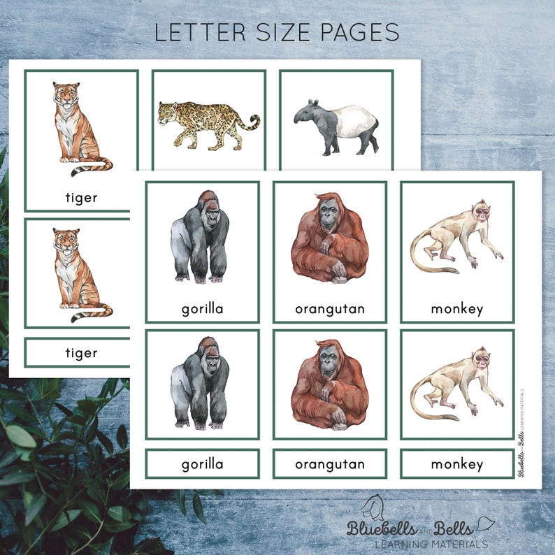 Rainforest Animals Montessori Printable 3 Part Cards. Vocabulary ...