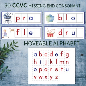 Montessori Printable Moveable Alphabet. CCVC Word Phonics Beginning ...