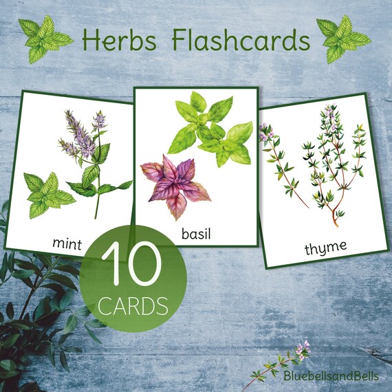 Herbs printable flashcards. Nature watercolor cards. | Etsy