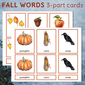 Fall Montessori Printable 3 Part Cards. Autumn Vocabulary for Preschool ...