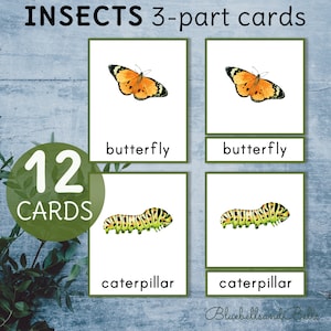 Insect Montessori Printable 3-part Cards. Preschool and Kindergarten ...