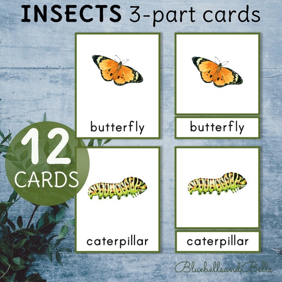 Insect Montessori Printable 3-part Cards. Preschool and | Etsy