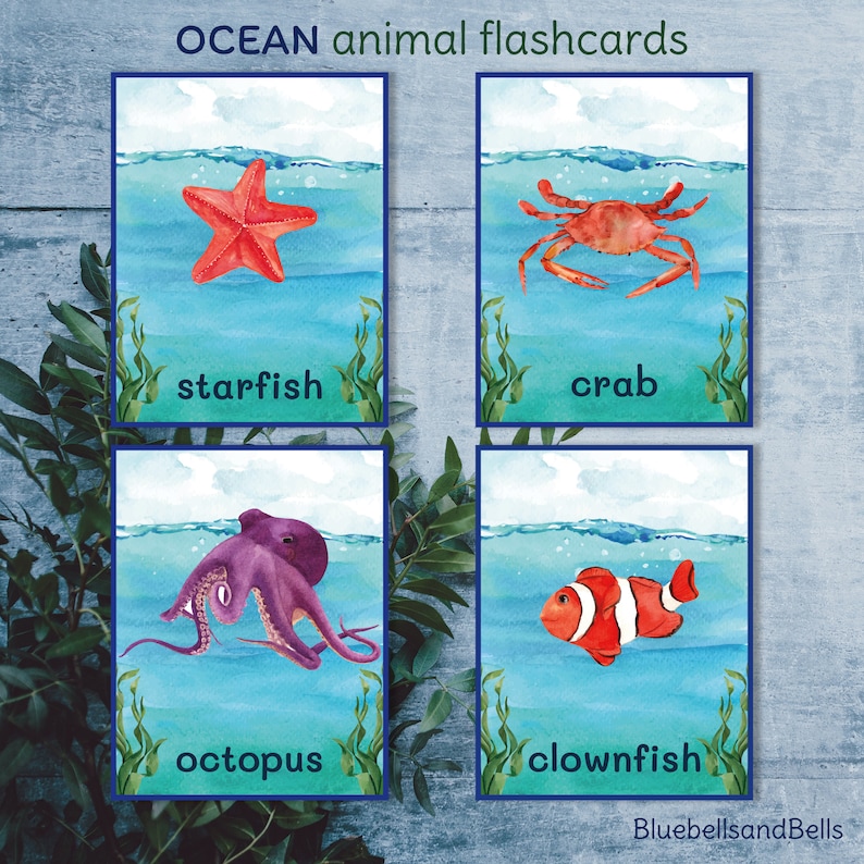 Printable Ocean Animals Flashcards for Toddlers and - Etsy