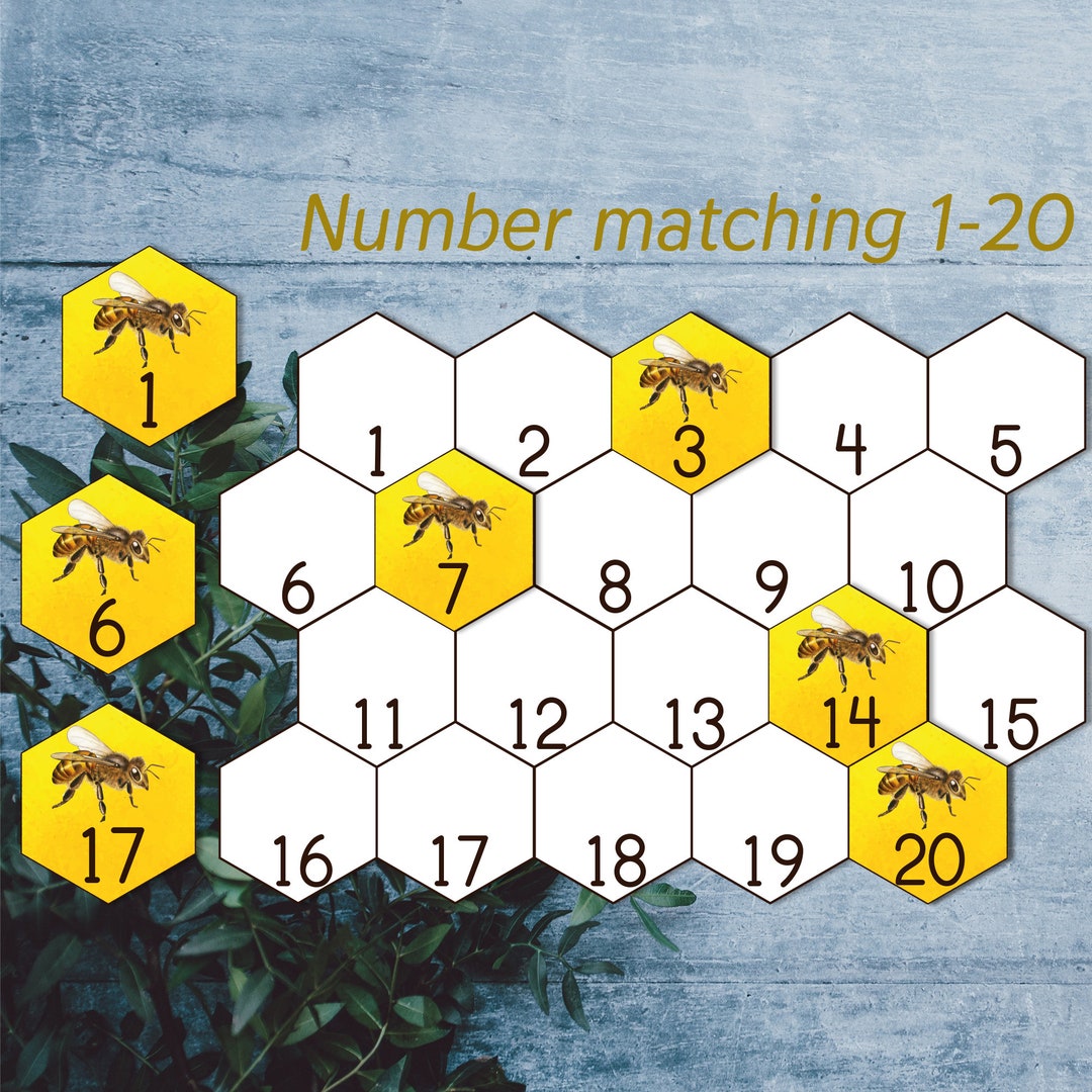 Number Matching 1-20 Printable. Number Recognition Activity. Bee ...
