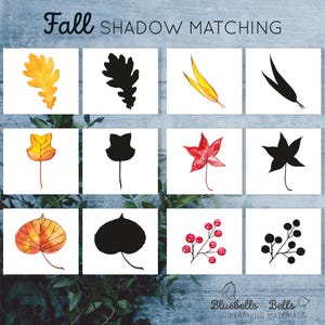 Autumn Shadow Matching Montessori Printable. Fall Nature Activity ...