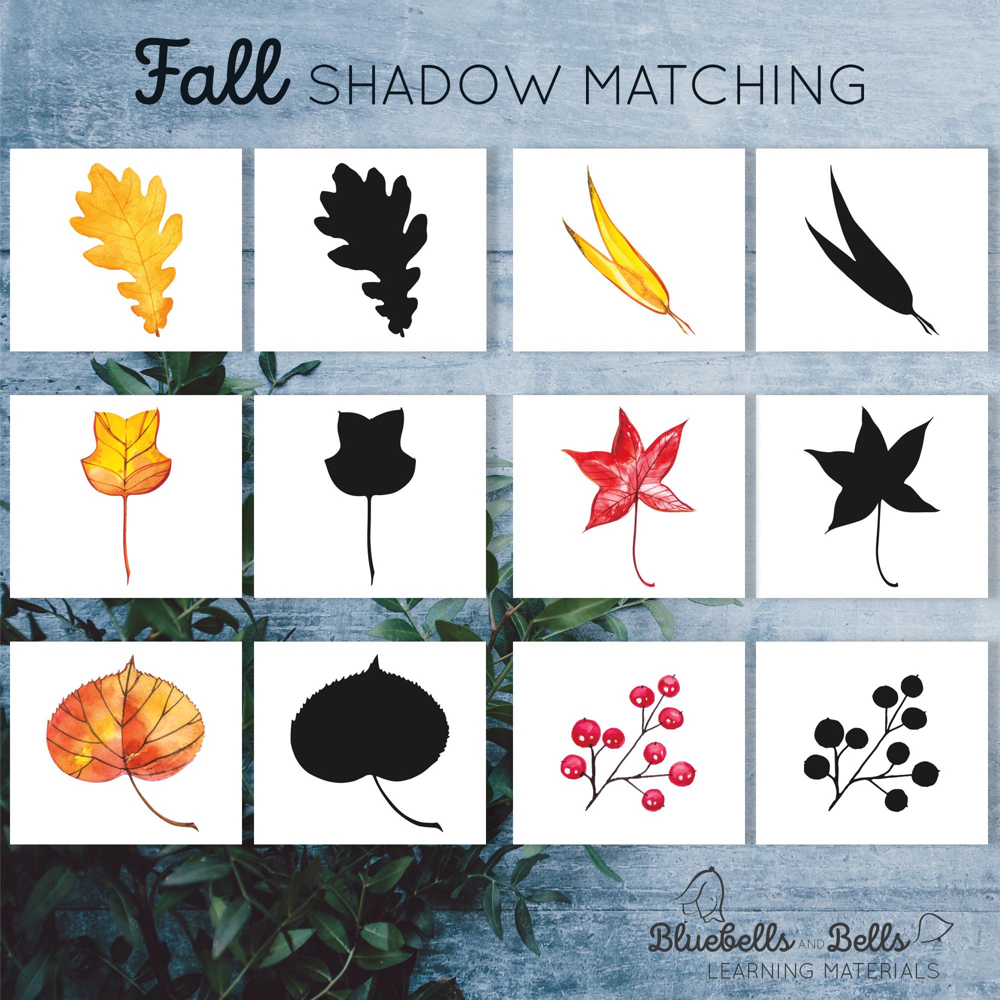 Autumn Shadow Matching Montessori Printable. Fall Nature Activity ...